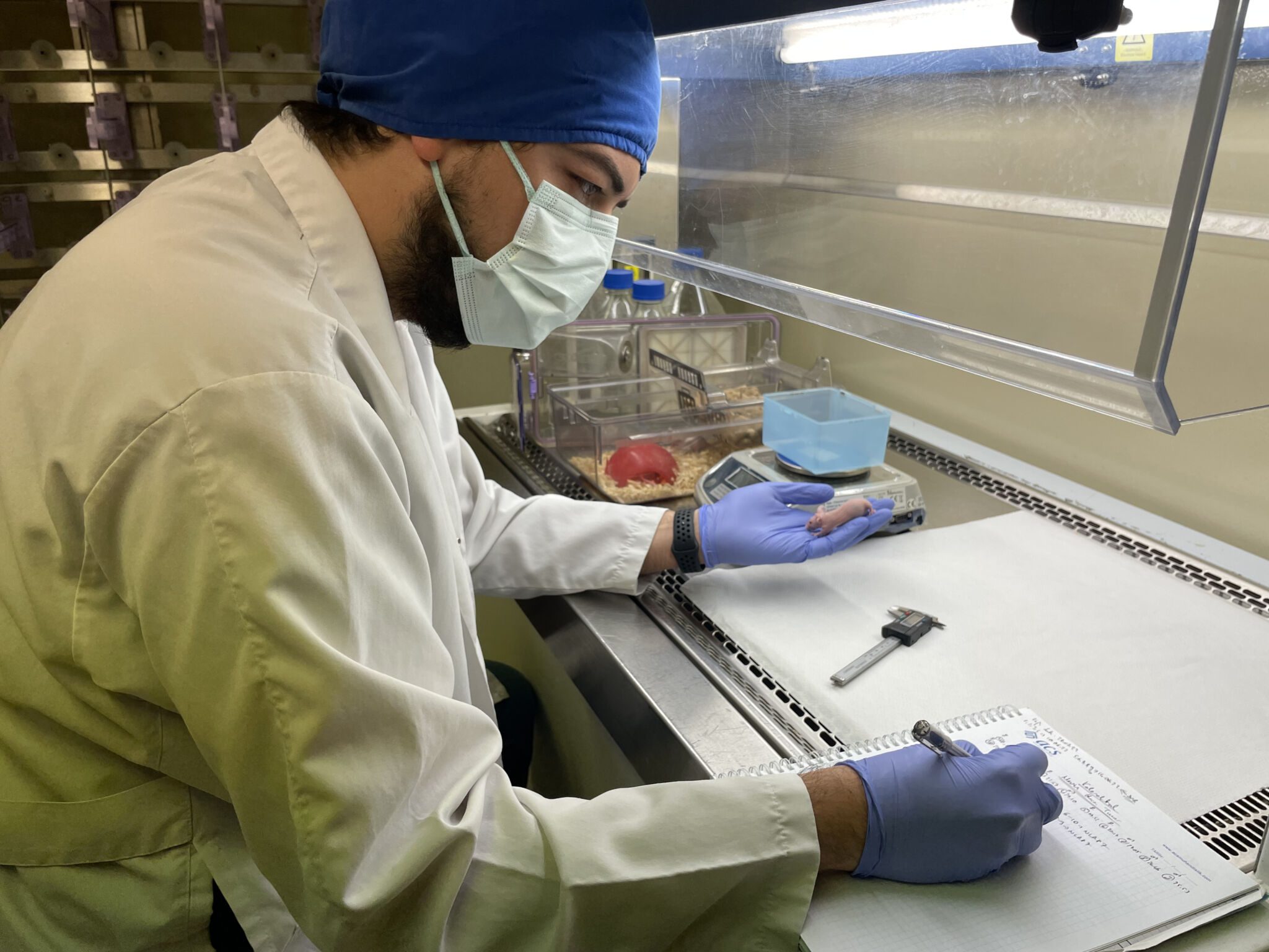 Animal Care and Production Unit (Vivarium) – Life Sciences and ...