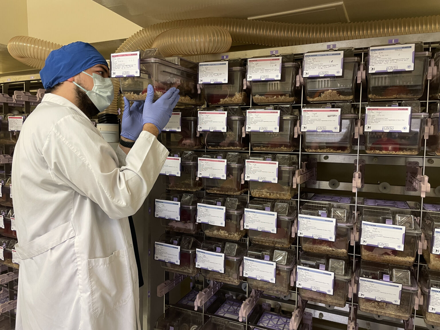 Animal Care and Production Unit (Vivarium) – Life Sciences and ...